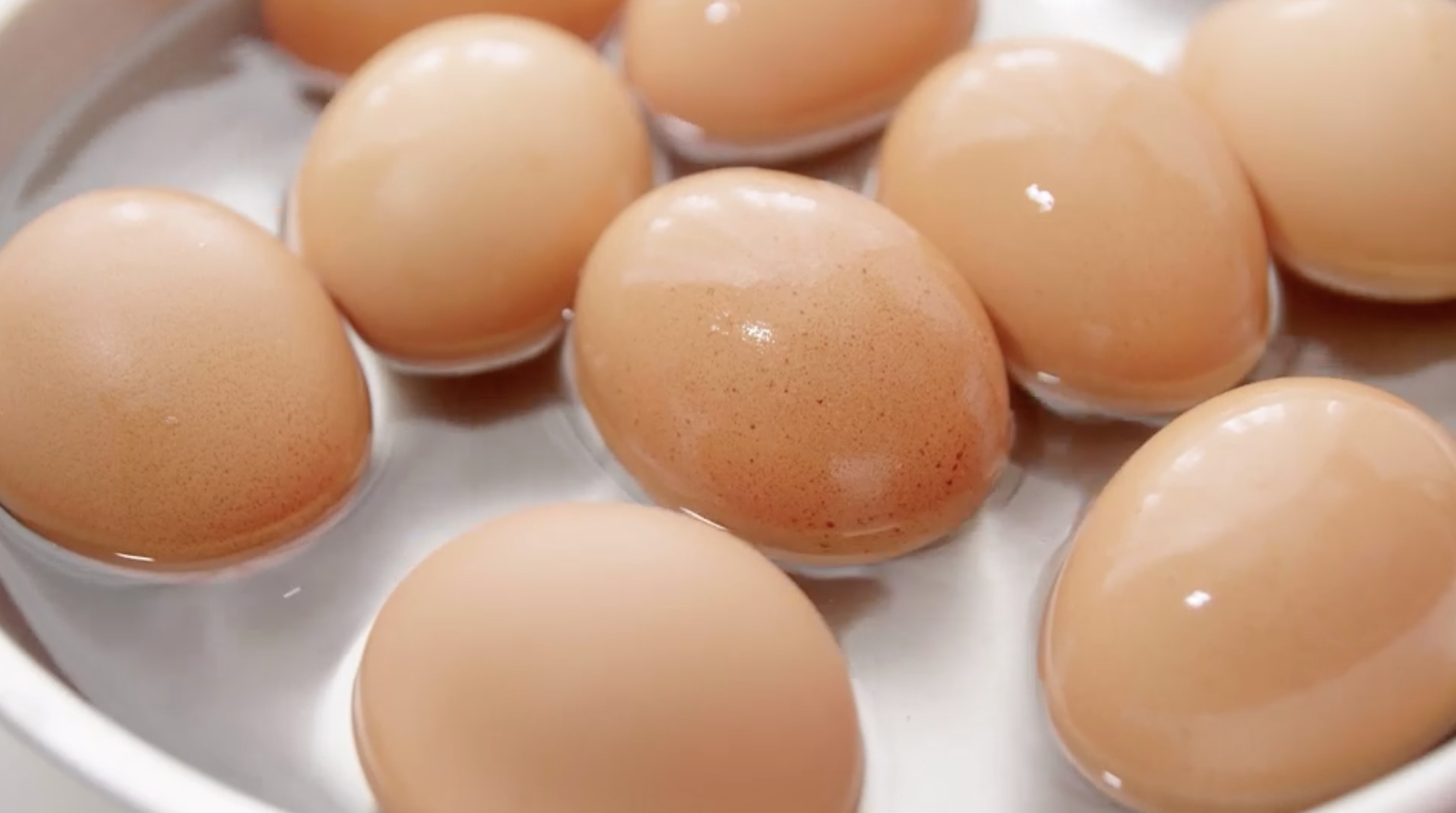 Salmonella: los huevos son su principal foco de infección. Te contamos ...