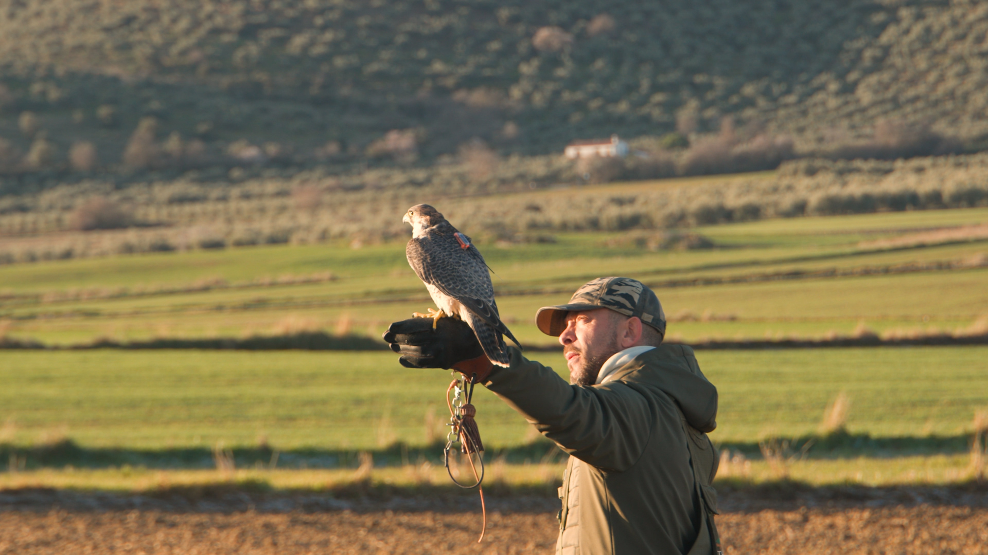 El arte de la altanería | Canal Extremadura