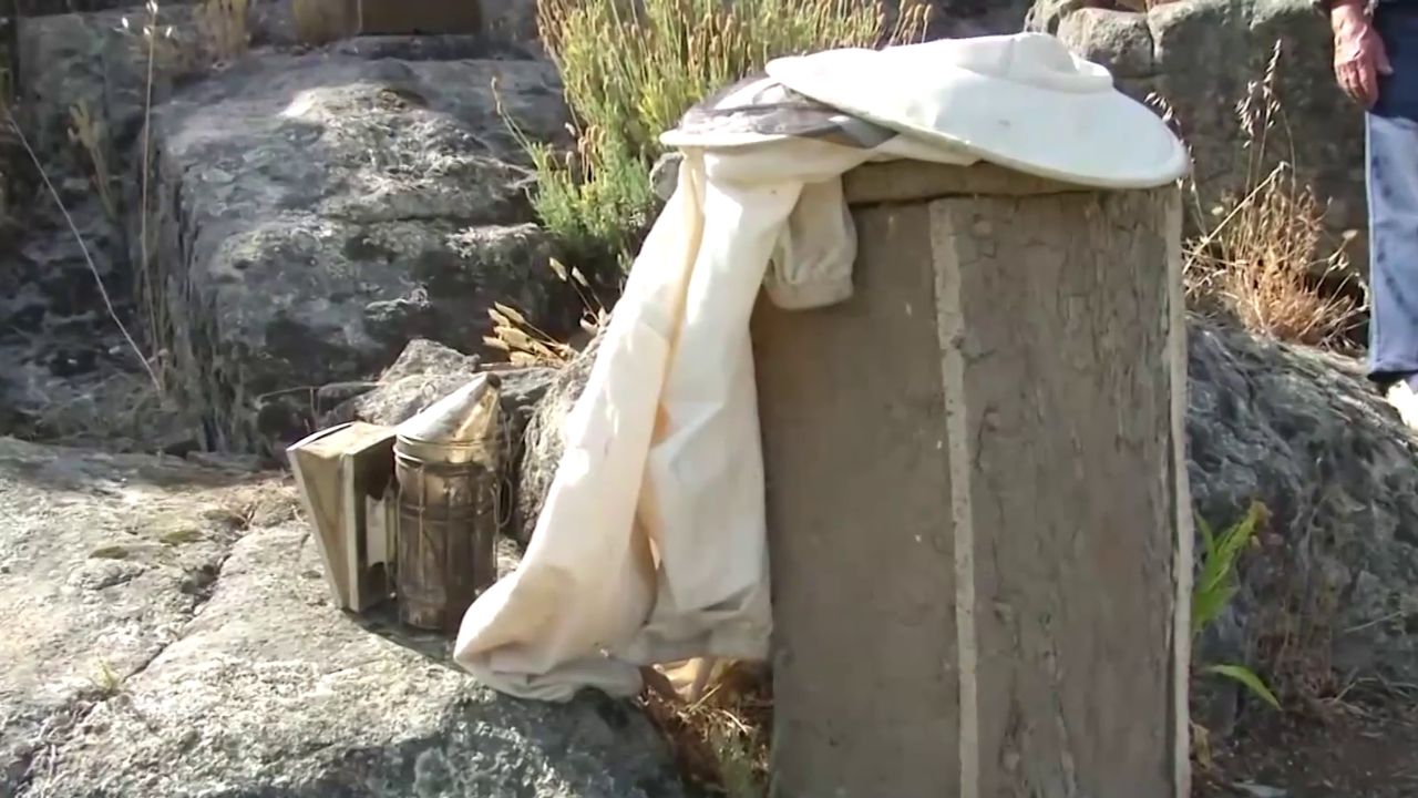 ‘Corrales de corcho’ estructuras tradicionales localizadas gracias a la ...