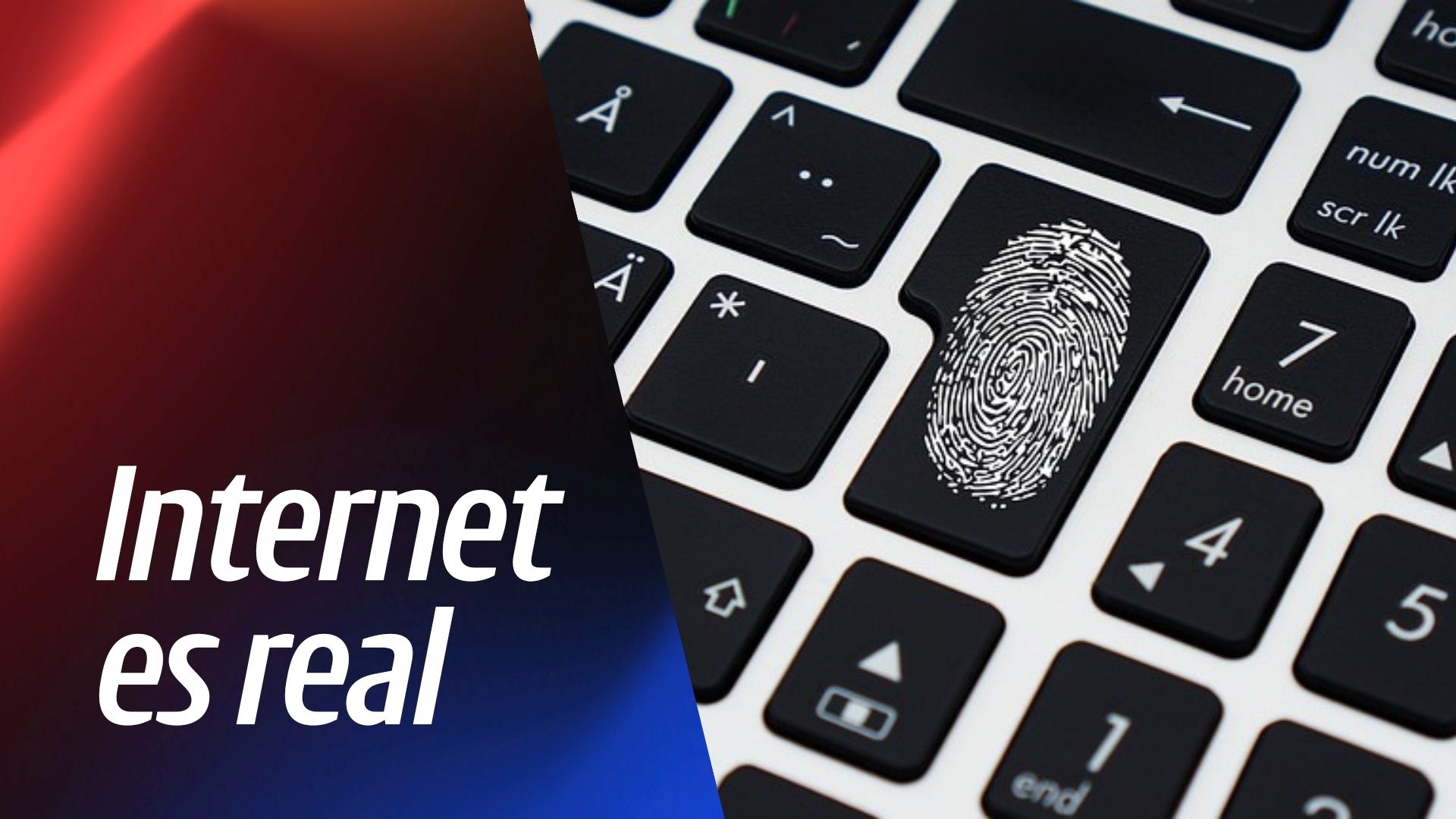 Internet es real: consecuencias de los delitos digitales | Canal ...