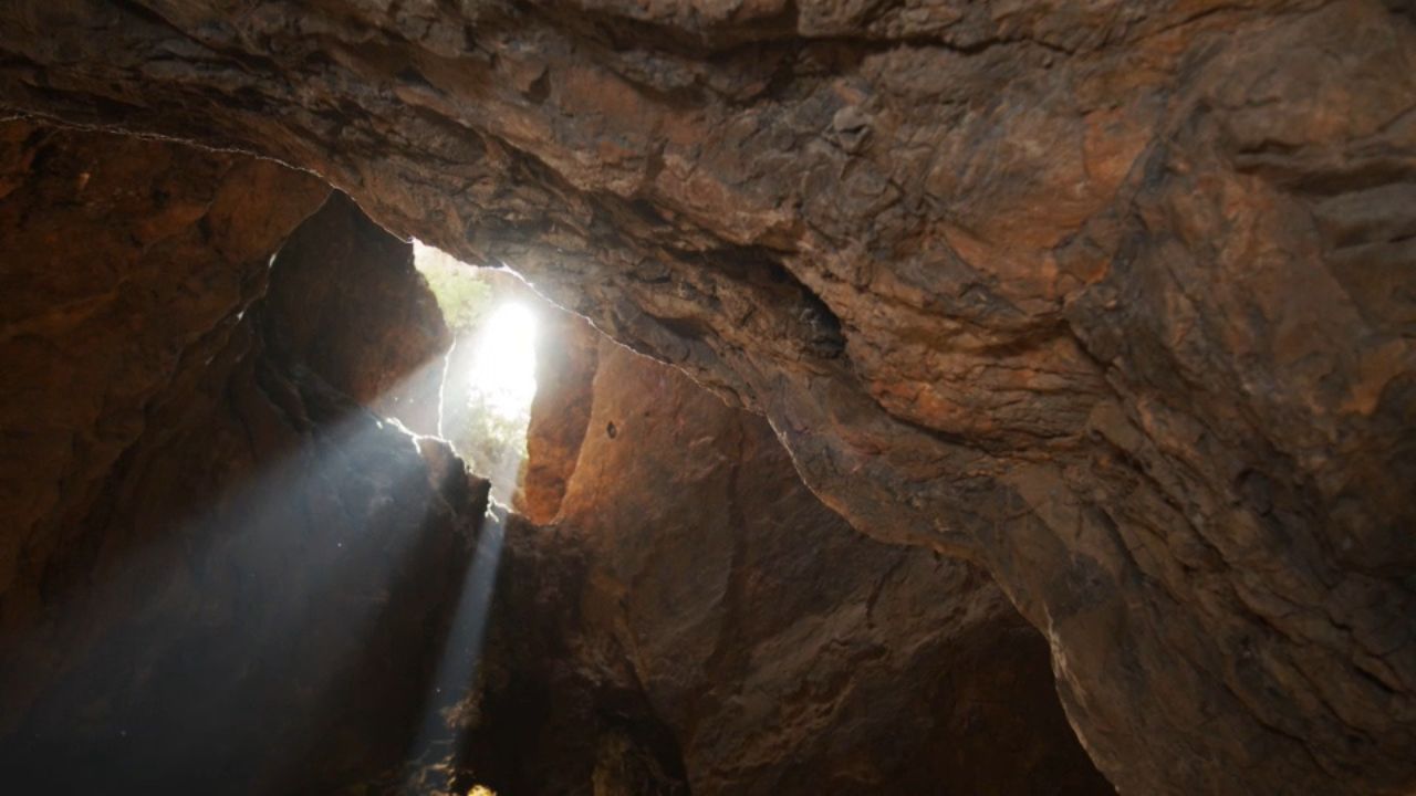Canal Extremadura estrena el documental 'La Jayona, un nuevo mundo ...