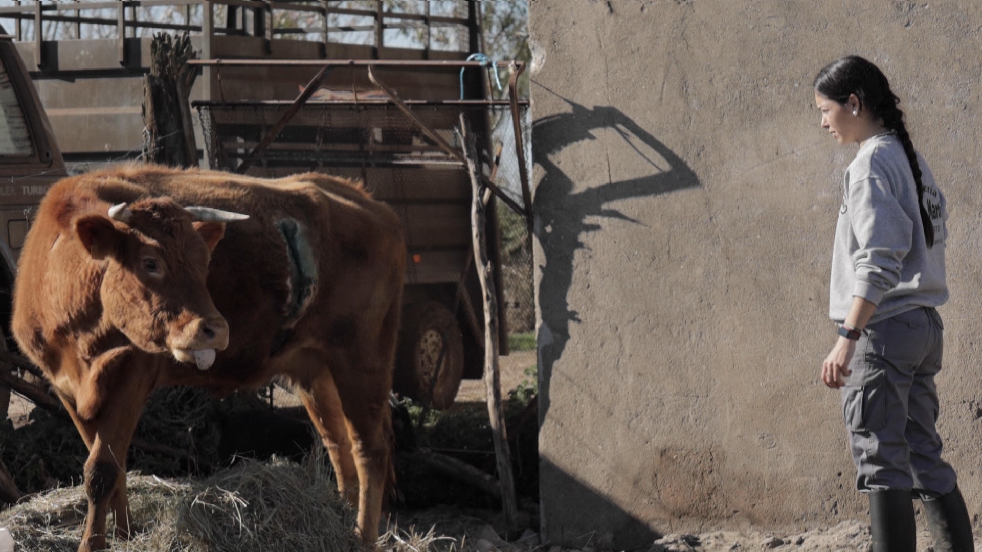 El campo es vida: Episodio 204 | Canal Extremadura