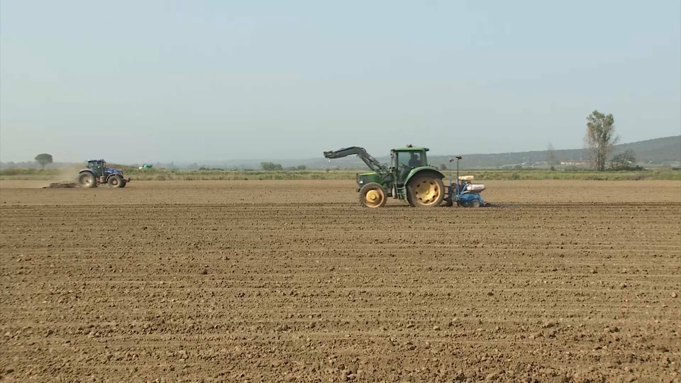 La campaña del maíz en Extremadura arranca con perspectivas poco ...