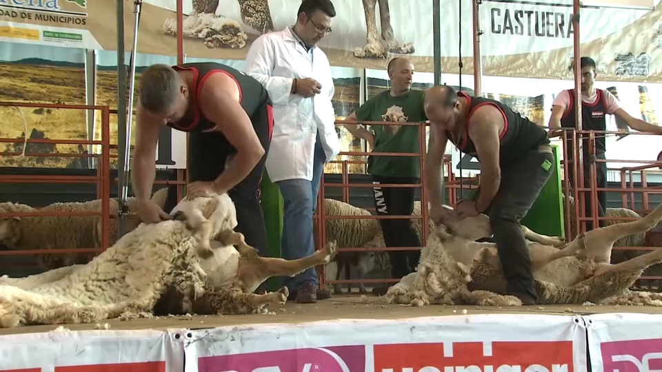 El escocés Gavin Mutch vence en el Open de Esquileo de Castuera | Canal ...