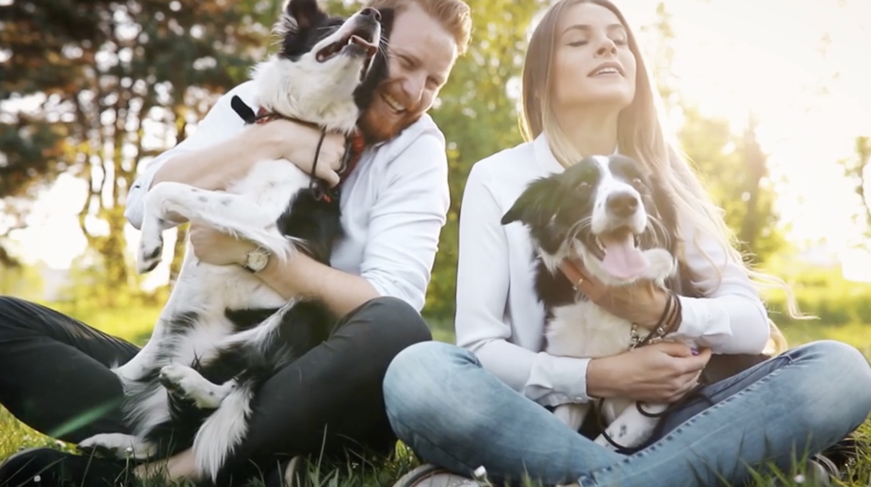 Convivir con animales: beneficios y con qué tener cuidado | Canal ...