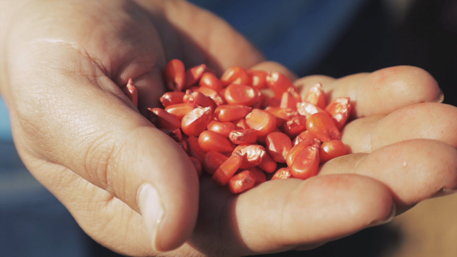 La Besana en Verde: Episodio 138 | Canal Extremadura